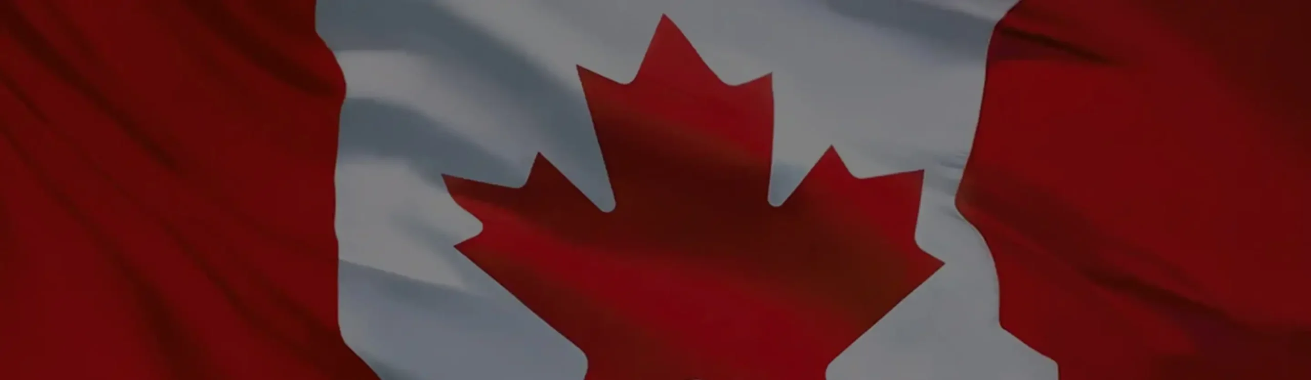 New Client Form - Argus Immigration Consultancy Inc